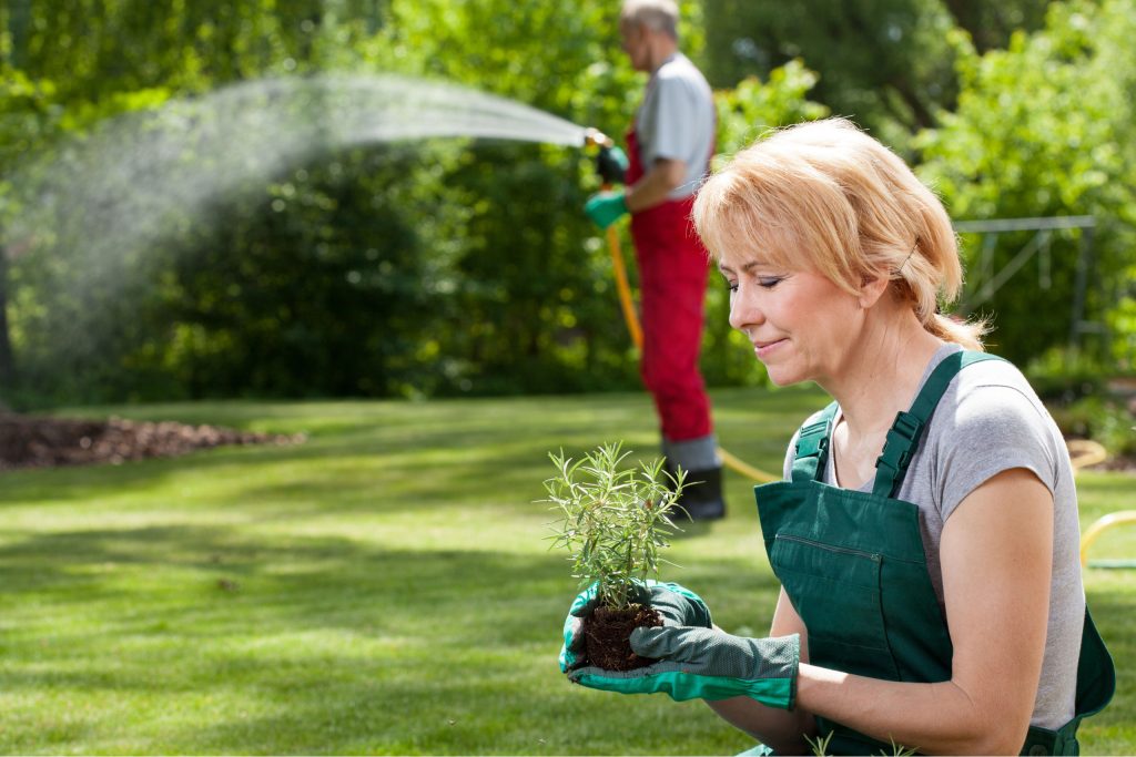 10 important jobs to do in your garden this spring - Jane Smith ...